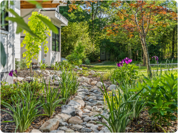 Landscaping Service - Southern Cut